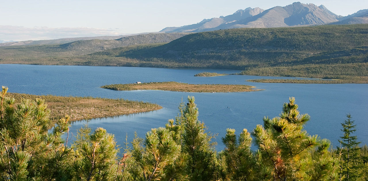 Bosque de la taiga siberiana - Fundación Aquae