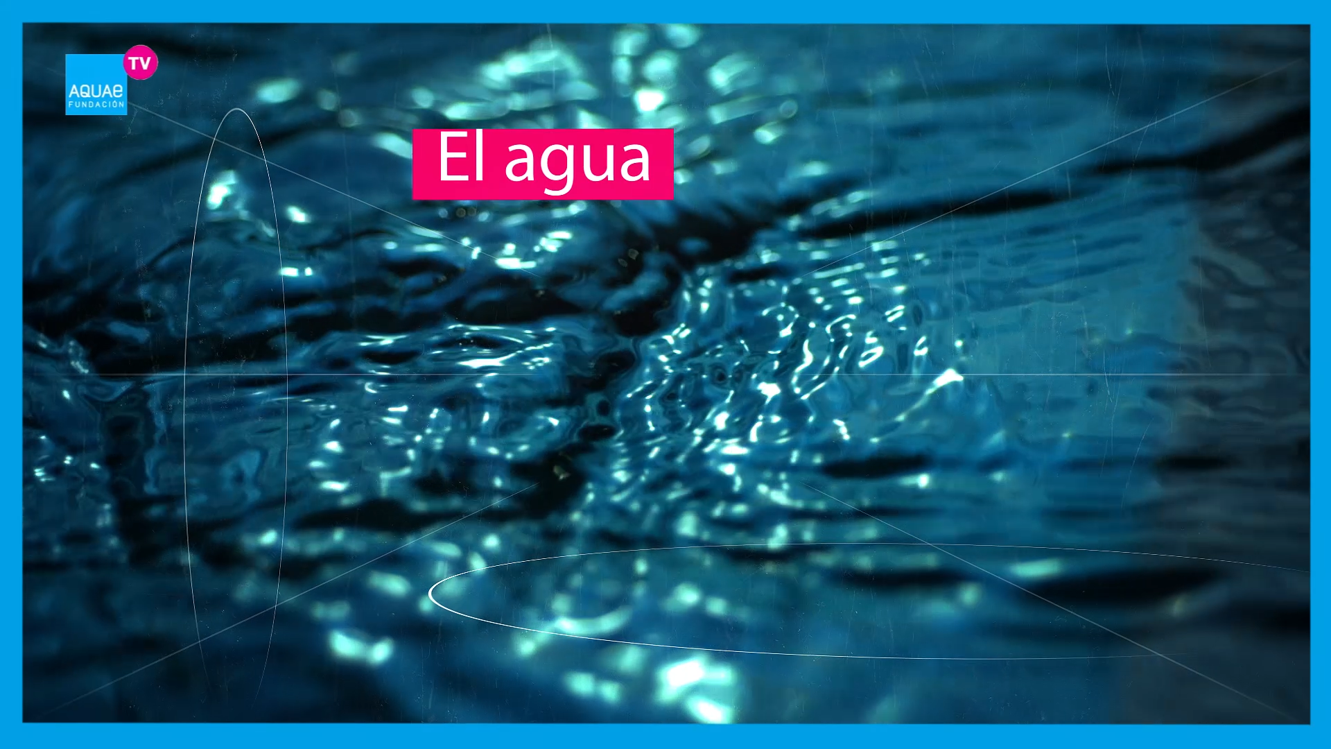 Agua, la bebida más saludable - Fundación Aquae