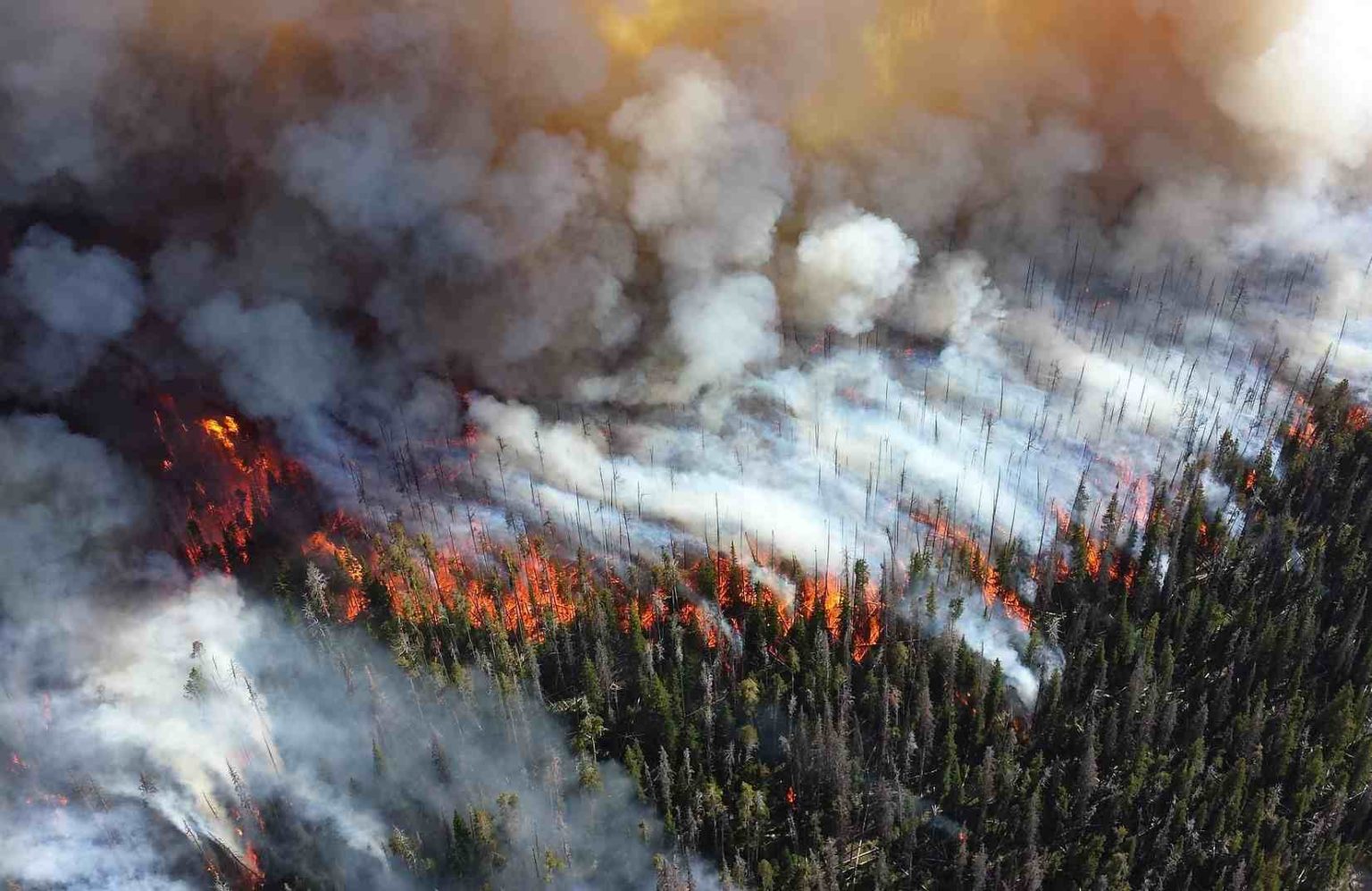 ¿Cuánto sabes sobre incendios? - Fundación Aquae