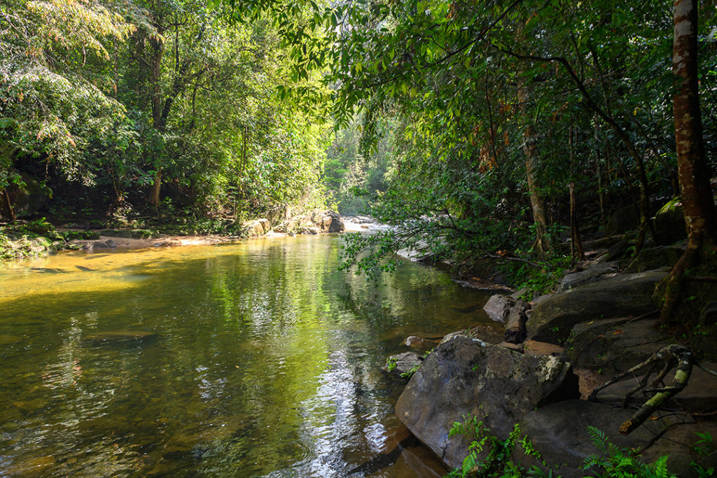 Biodiversidad: ¿cuánto sabes sobre ecosistemas? - Fundación Aquae