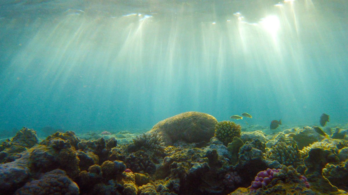 El primer mapa de la biodiversidad en el mundo - Fundación Aquae