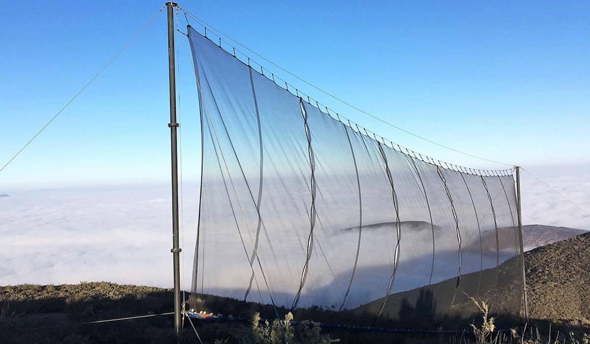 Cómo evitar las sequías con un atrapanieblas - Fundación Aquae