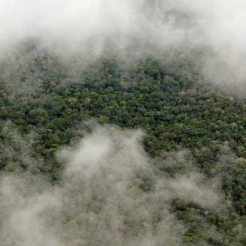 La lluvia roja: un fenómeno extraordinario - Fundación Aquae