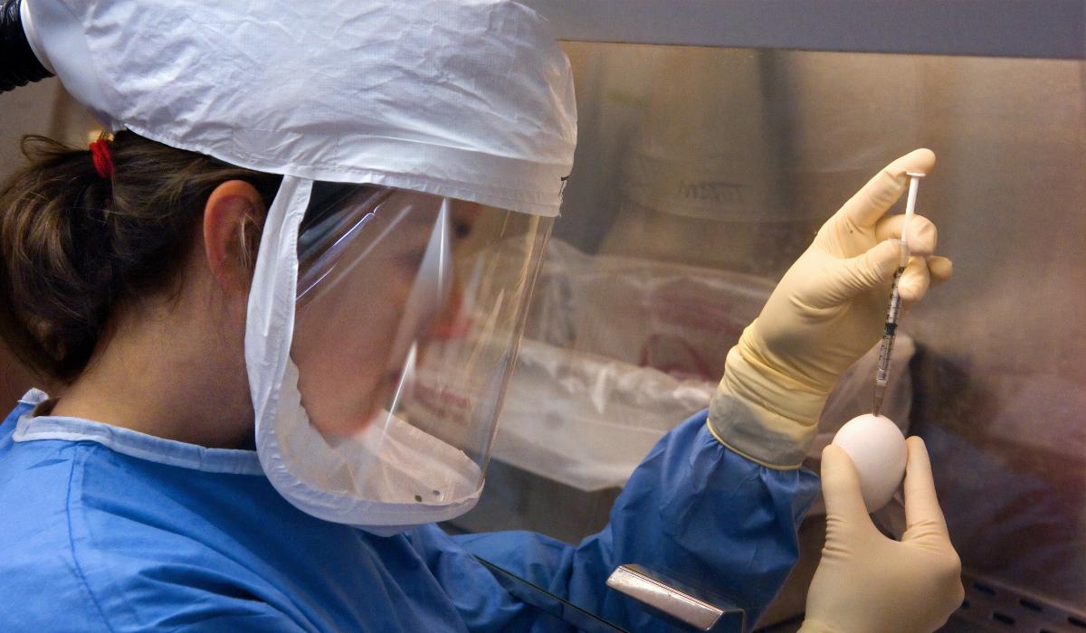 ¿Cómo se hacen las vacunas? Proceso y Etapas | Fundación Aquae