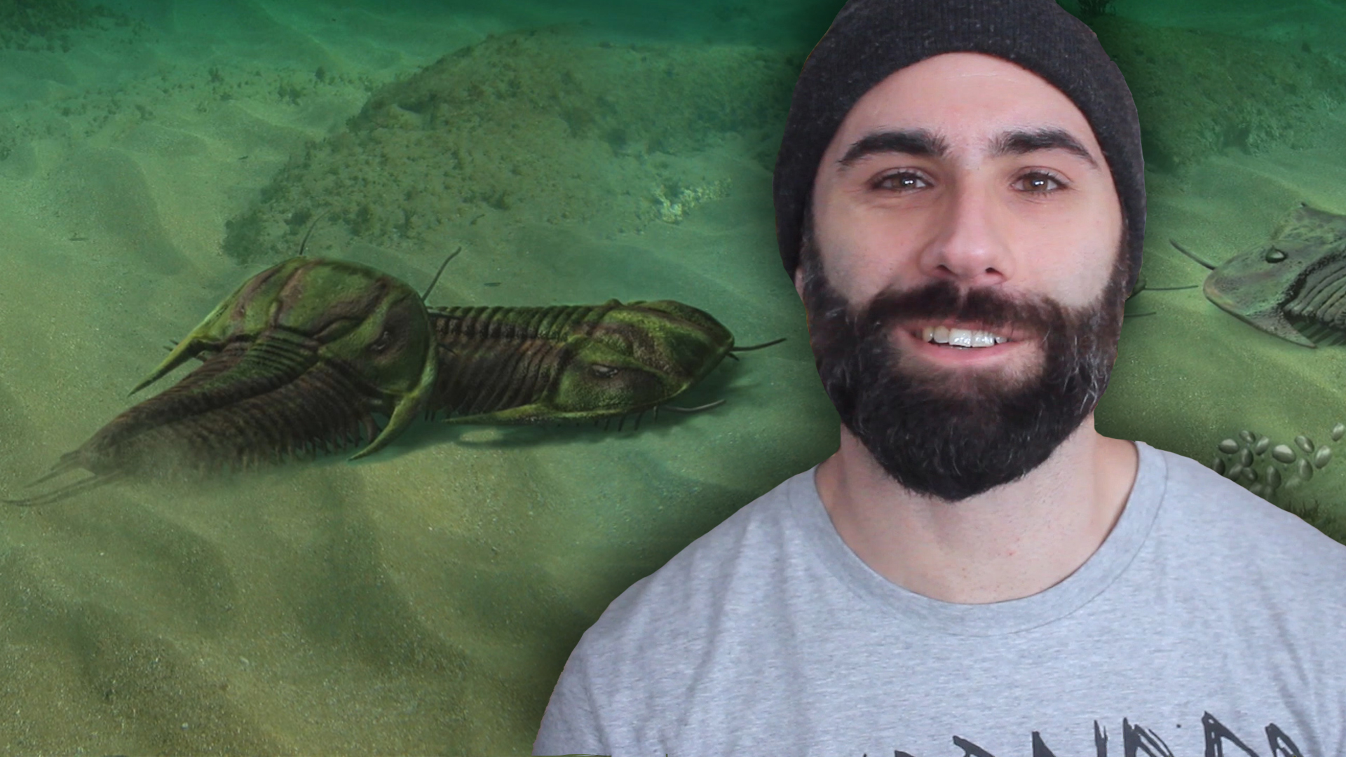 Los animales extintos en el mar más extraños- Fundación Aquae