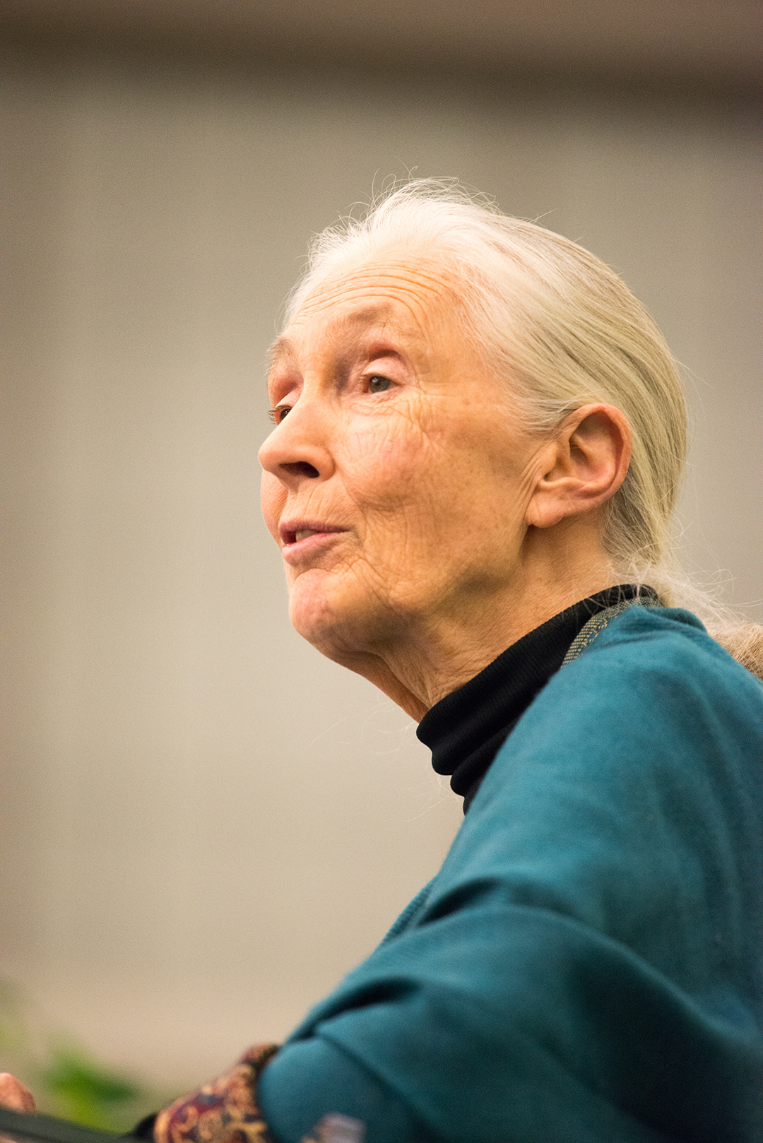 Jane Goodall: conoce su historia - Fundación Aquae