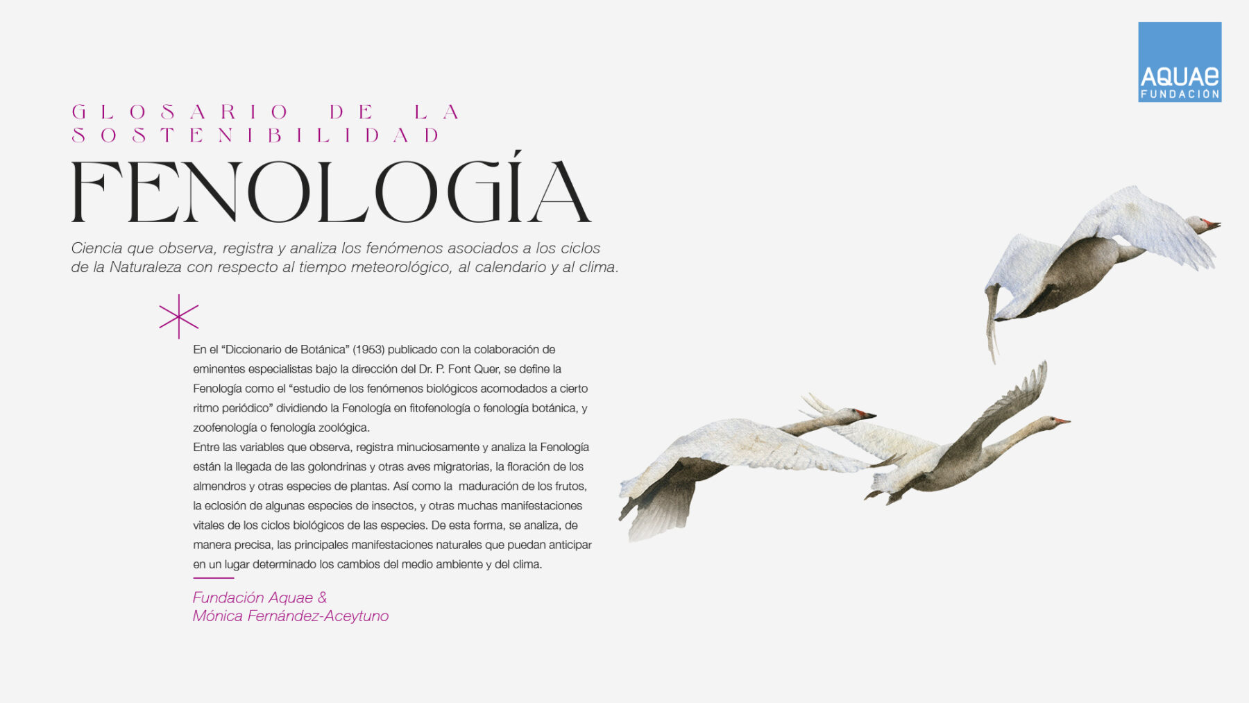 Fenología - Fundación Aquae