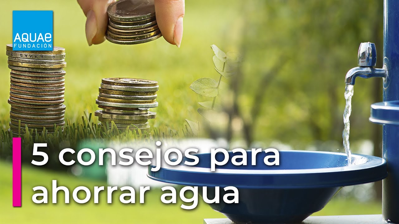 Cuidado del agua: consejos para protegerla | Fundación Aquae